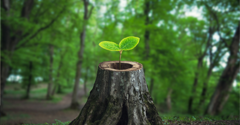 How To Live On Mission: Learning From The Early Church - Center ...