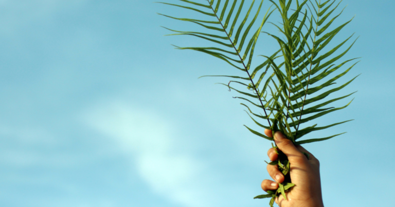 Home - Center Barnstead Christian Church