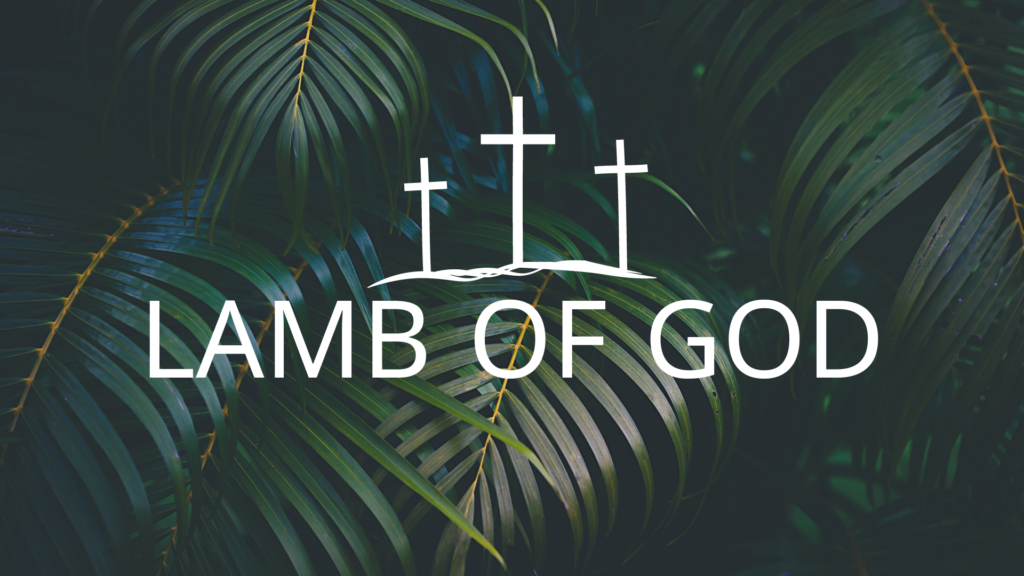 Lamb of God - Center Barnstead Christian Church